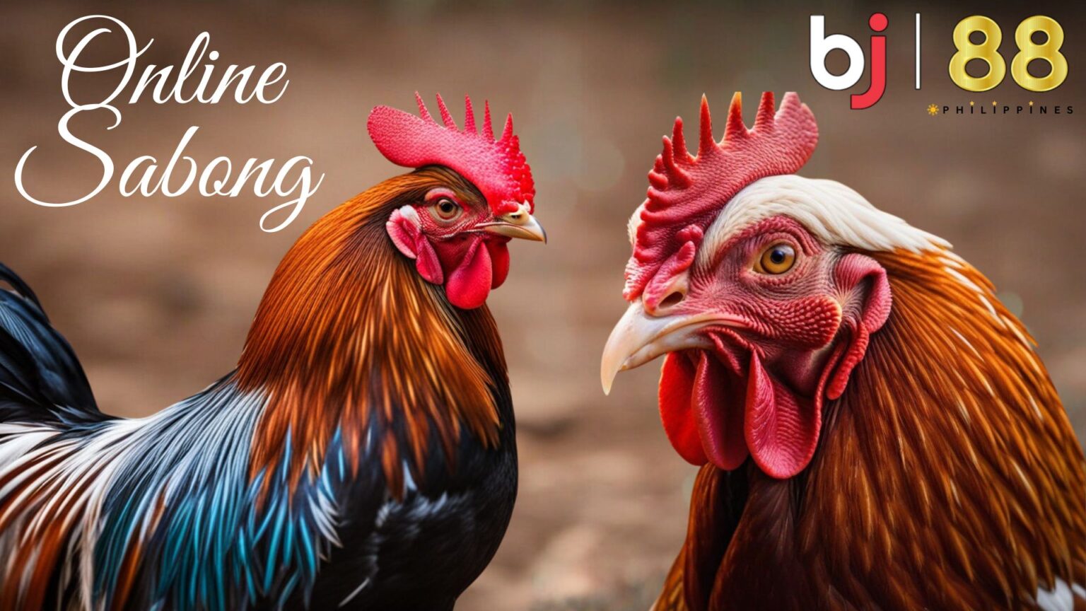 Turn Your Passion into Profits! Master Online Sabong Betting at BJ88 ...