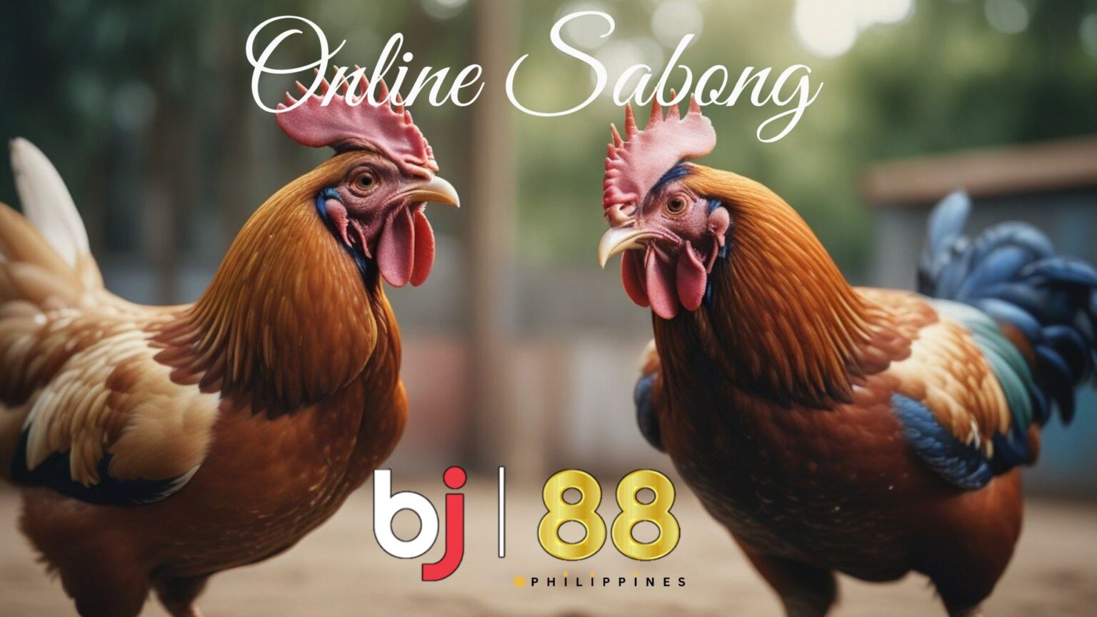 Beyond the Feathers and Fury: Unravel the Enthralling World of Online ...