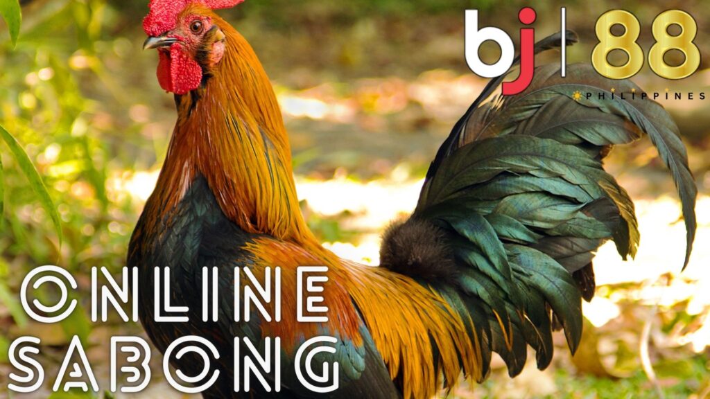 Unveiling the Sabong Arena's Icons: Discover the Legendary Roosters and ...