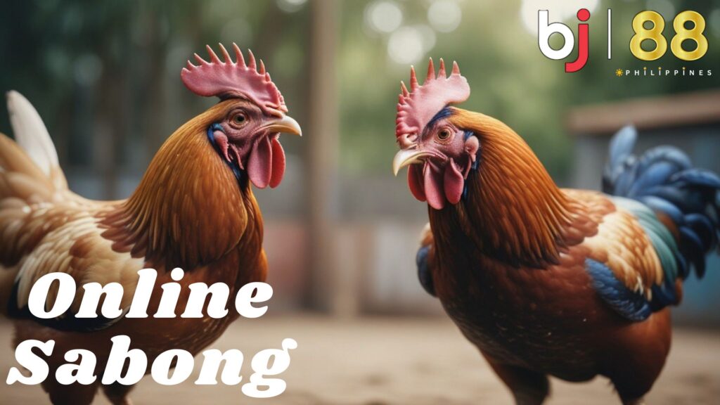 The Feathered Frenzy of Online Sabong: Is BJ88 Legit? Unmasking the ...