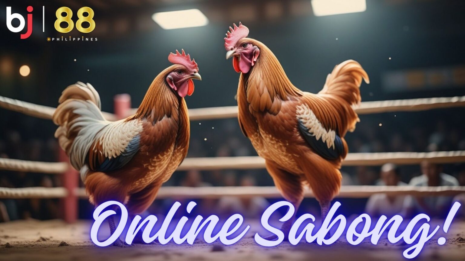 Dive into the Digital Cockfight: Online Sabong Philippines - Beginner ...