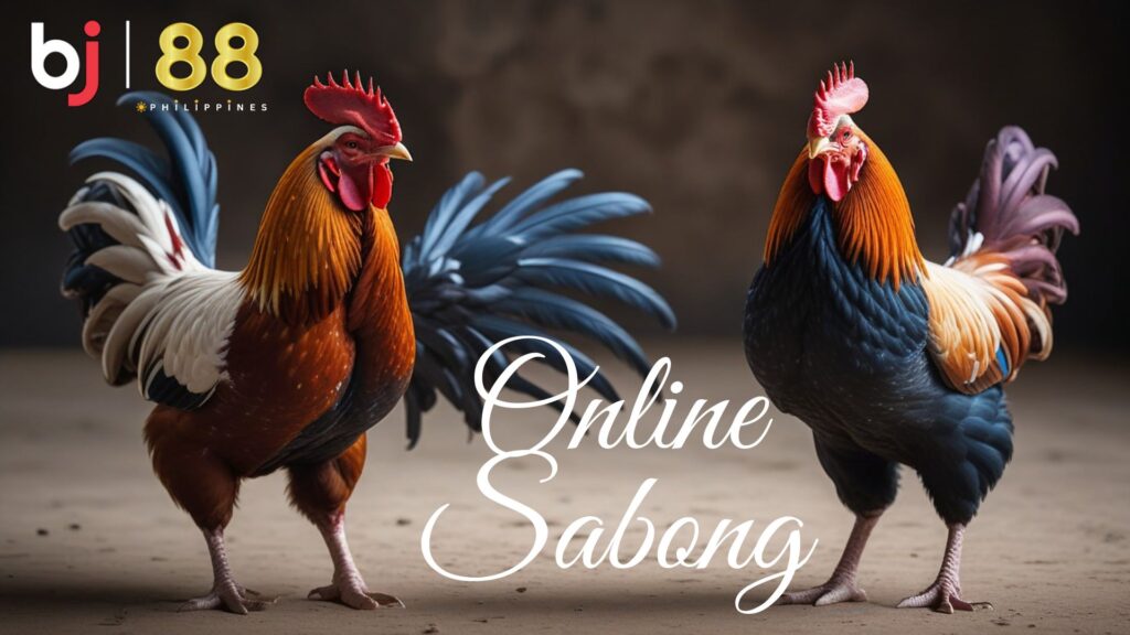 Soar to New Heights - Online Sabong Peaks in 2024, Redefining the ...