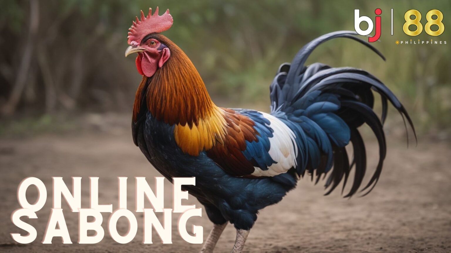 Unveiling BJ88's Newest Sabong Concept: Anticipating the Next Evolution in Cockfighting ...